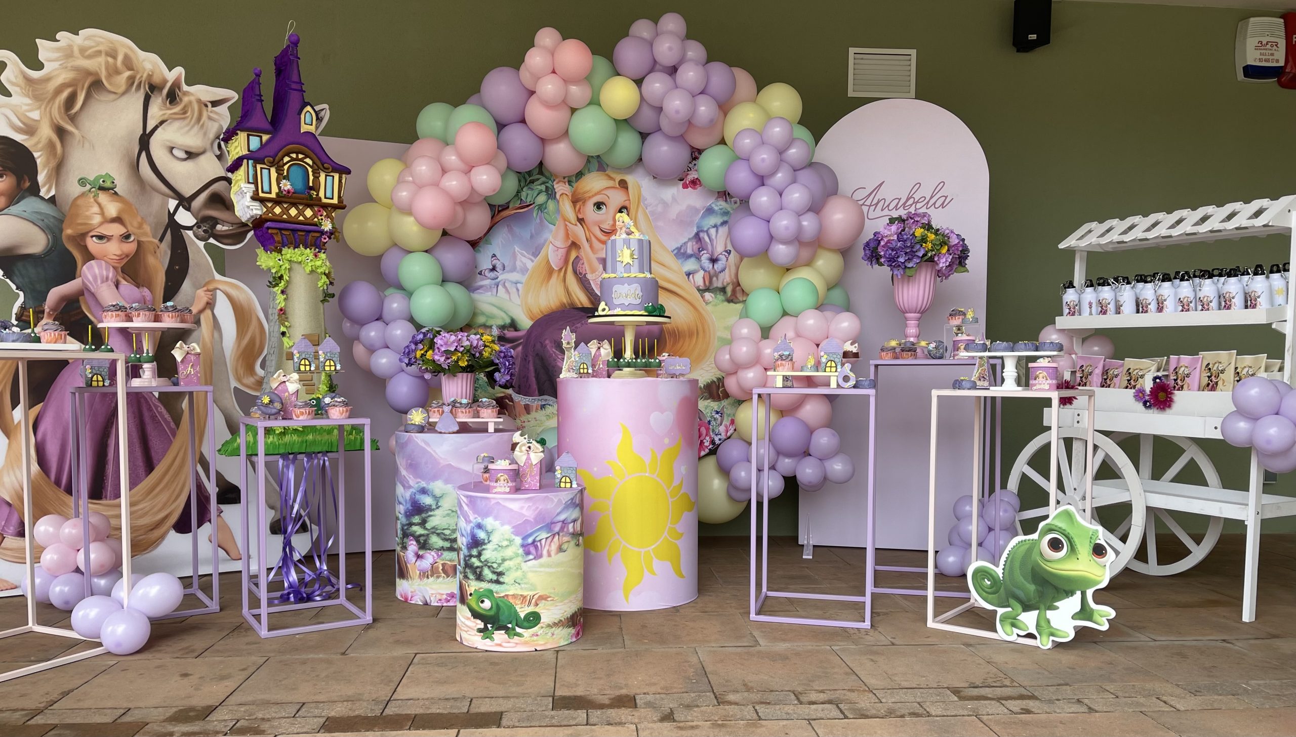 Rapunzel - Partners In Crime